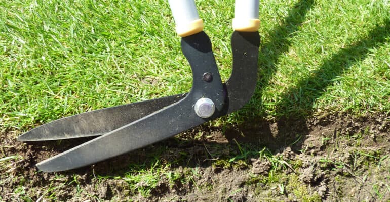 7 Best Edging Shears For Your Lawn – UK Comparison Guide