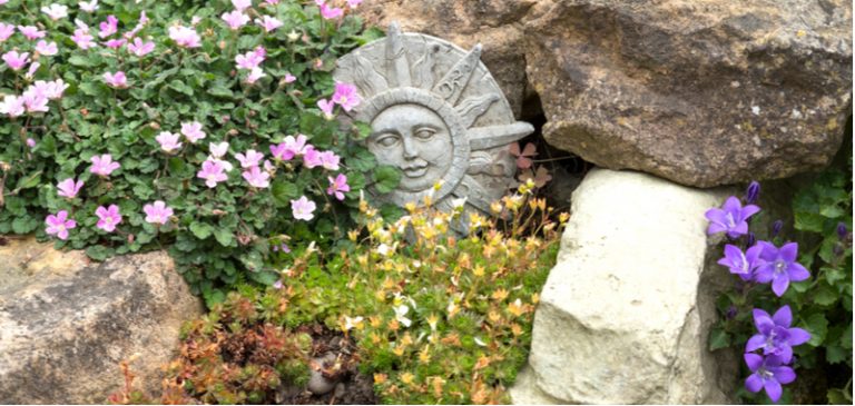 Growing and caring for alpine rockery plants | Pyracantha.co.uk