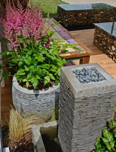 Growing astilbes in pots and containers - Care Guide | Pyracantha.co.uk