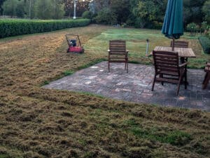 8 Best Lawn Scarifiers For Removing Moss & Thatch - 2024 Update