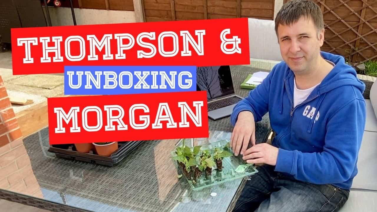 Thompson & Morgan Unboxing Plug Plants and Review | Pyracantha.co.uk