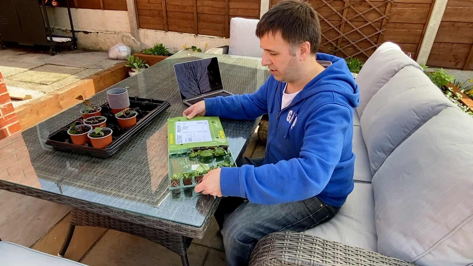 Thompson & Morgan Unboxing Plug Plants and Review | Pyracantha.co.uk