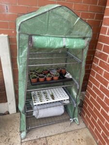 Should You Buy a Mini Grow House and How To Put One Together