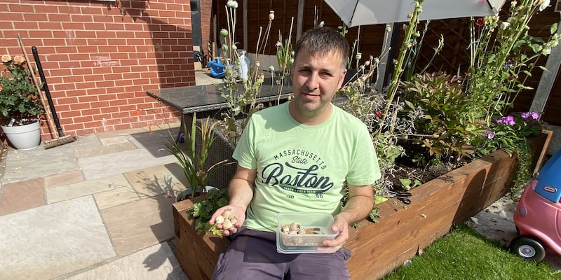 How to collect poppy seeds & what to do after flowering