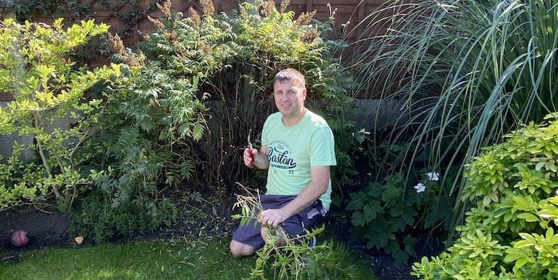 How and When To Prune Sorbaria (False spirea) Step by Step