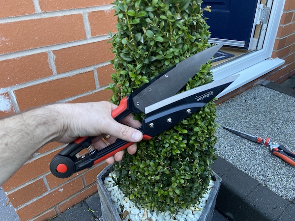 5 Best Topiary Shears For Trimming Buxus, Yews & Topiary Plants