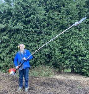 6 Best Long Reach Pole Chainsaws - TESTED & Reviewed