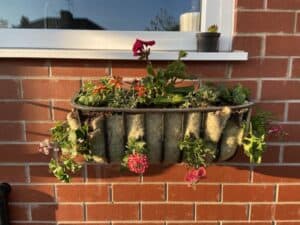 How to choose & plant windowboxes & troughs