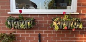 How to choose & plant windowboxes & troughs
