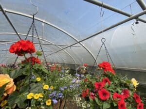 7 Best Polytunnels For Gardens & Allotments - UK Kit Builds