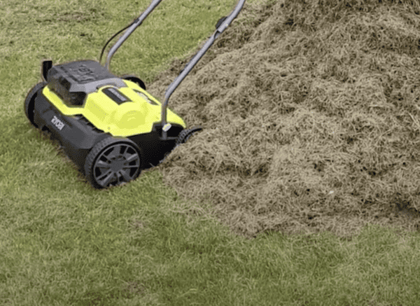 The Best Cordless Scarifiers For Removing Moss and Thatch